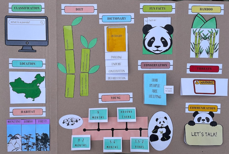 Panda Study Lapbook Download | Printable | Creative Activity ...