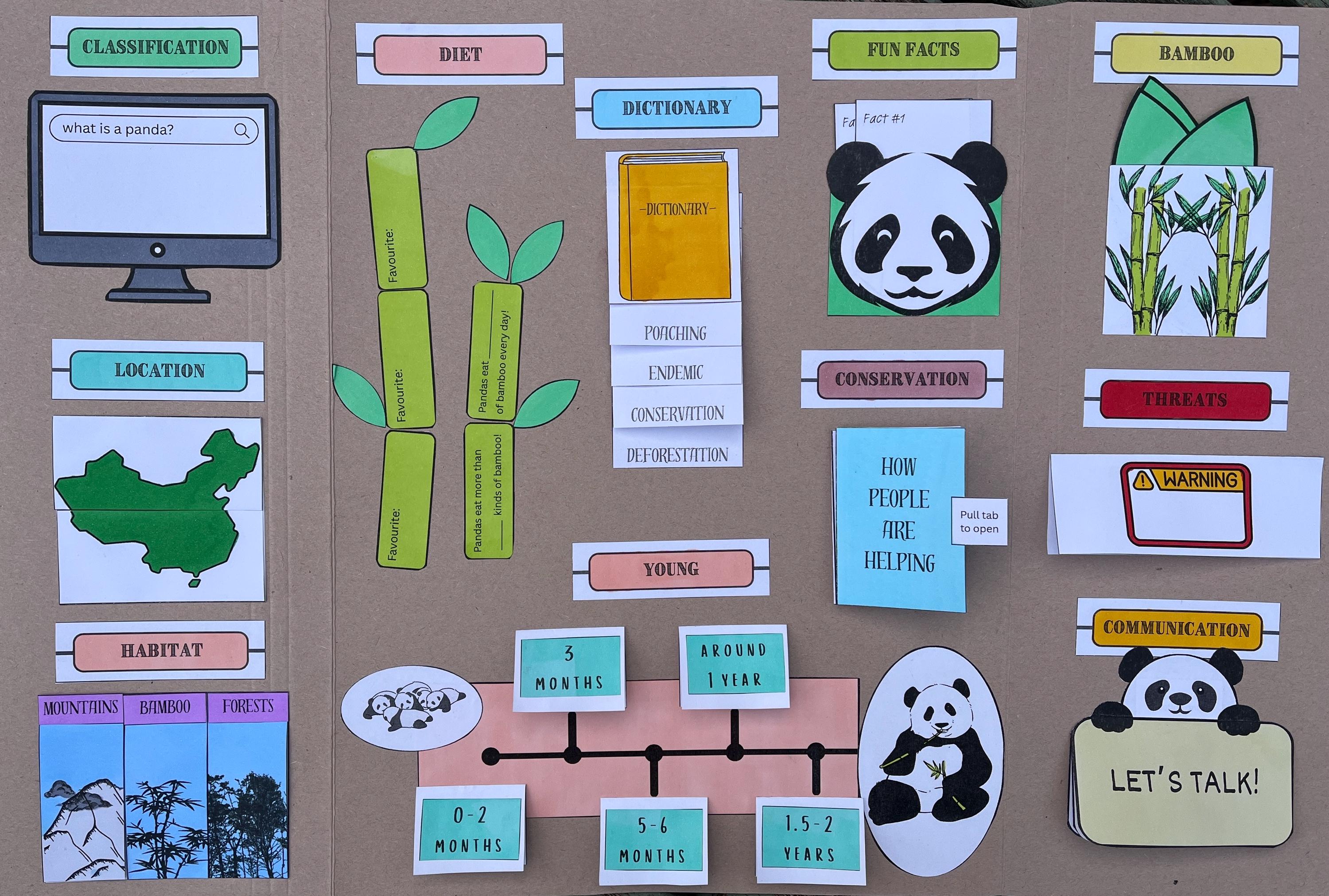 Panda Study Lapbook Download | Printable | Creative Activity ...