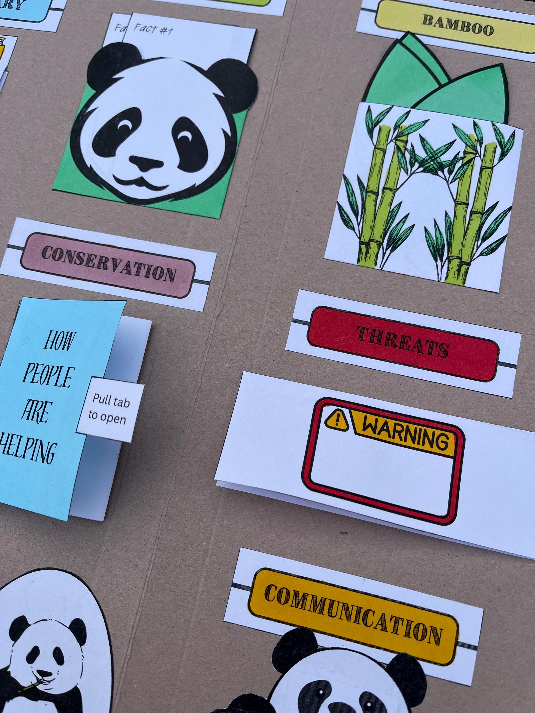 Panda Study Lapbook Download | Printable | Creative Activity ...