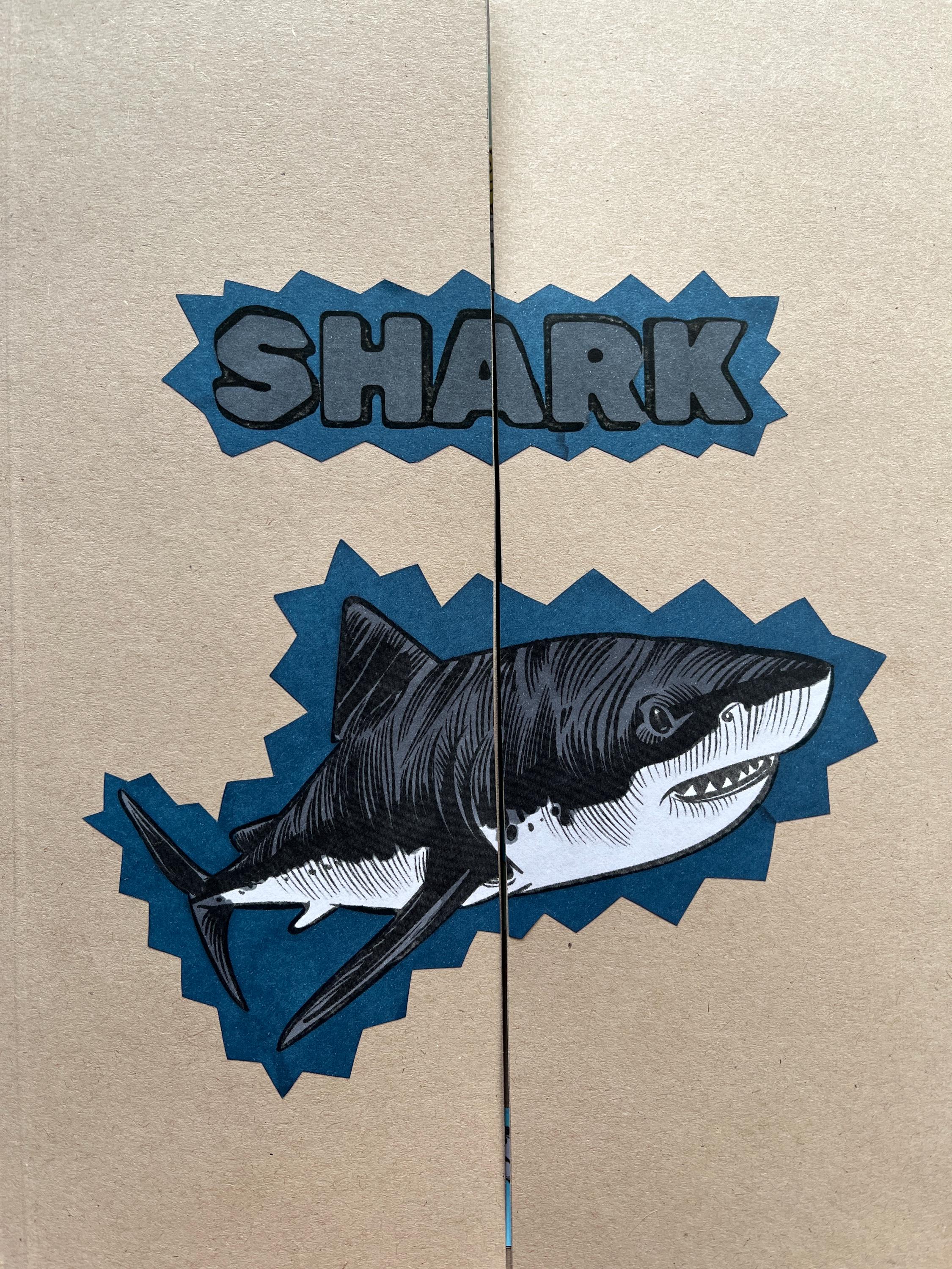 Shark Study Lapbook Download | Printable | Creative Activity ...