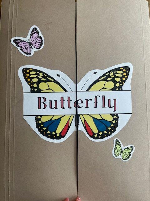 Butterfly Study Lapbook Download | Printable | Creative Activity ...