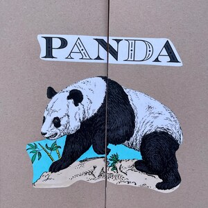 Panda Study Lapbook Download | Printable | Creative Activity ...