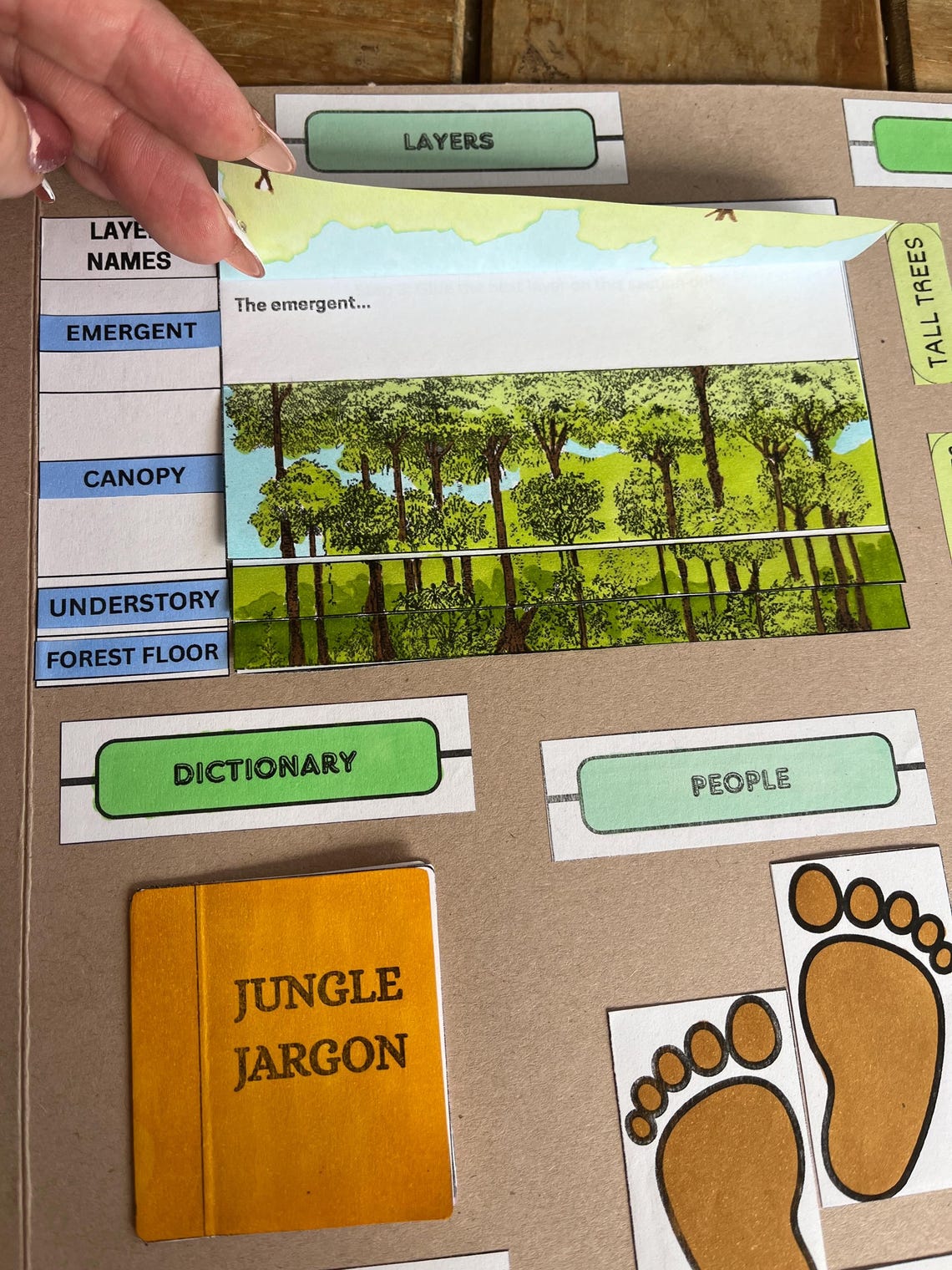 Tropical Rainforests Study Lapbook Download | Interactive | Printable ...