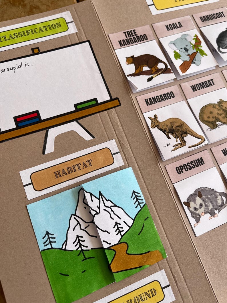 Marsupials Study Lapbook Download | Printable | Creative Activity ...