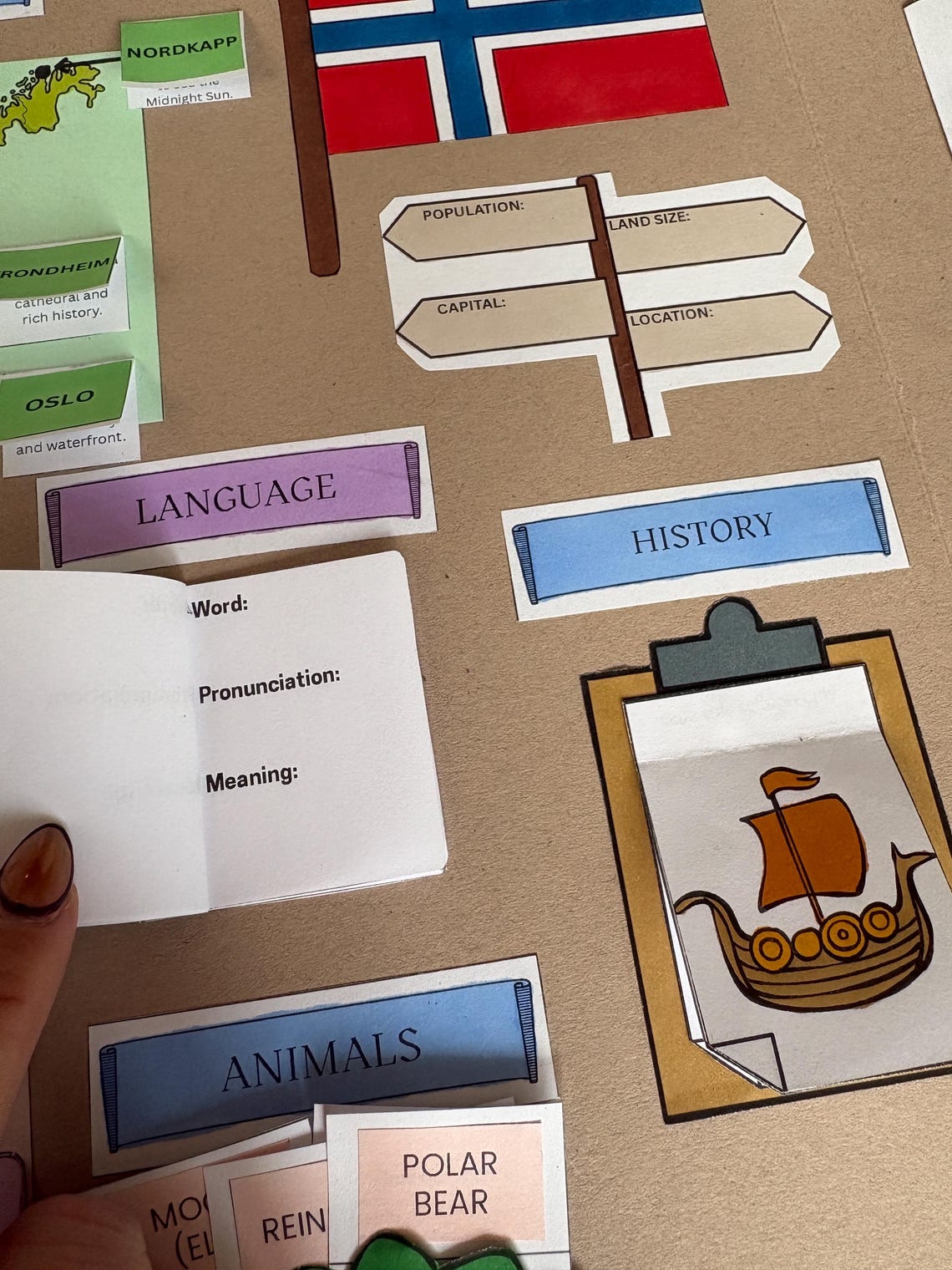 Norway Study Lapbook Download | Printable | Geography Activity ...