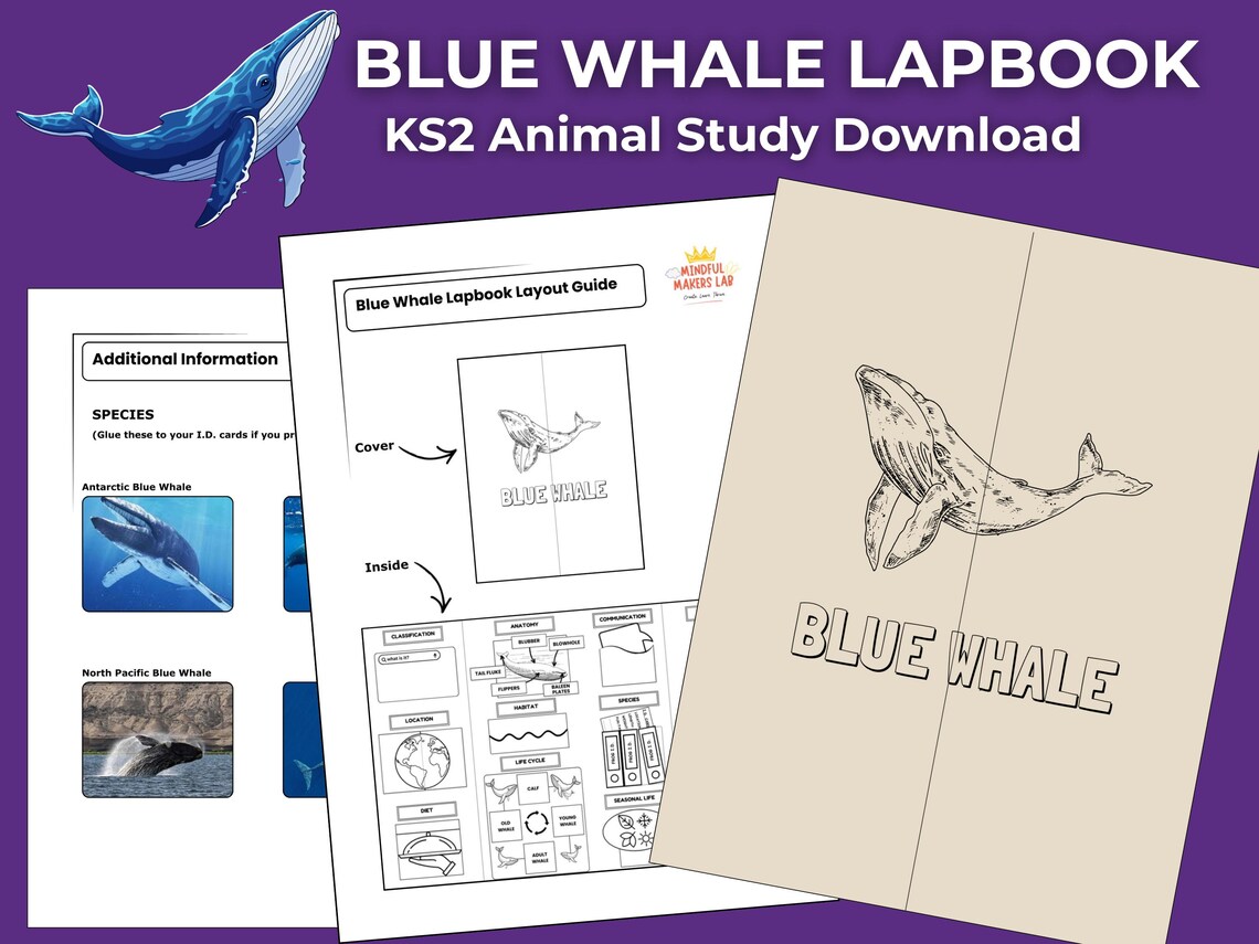 Blue Whale Lapbook KS2 | Animal Science | Printable | Easy-read ...