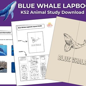 Blue Whale Lapbook KS2 | Animal Science | Printable | Easy-read ...