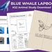 Blue Whale Lapbook KS2 | Animal Science | Printable | Easy-read ...