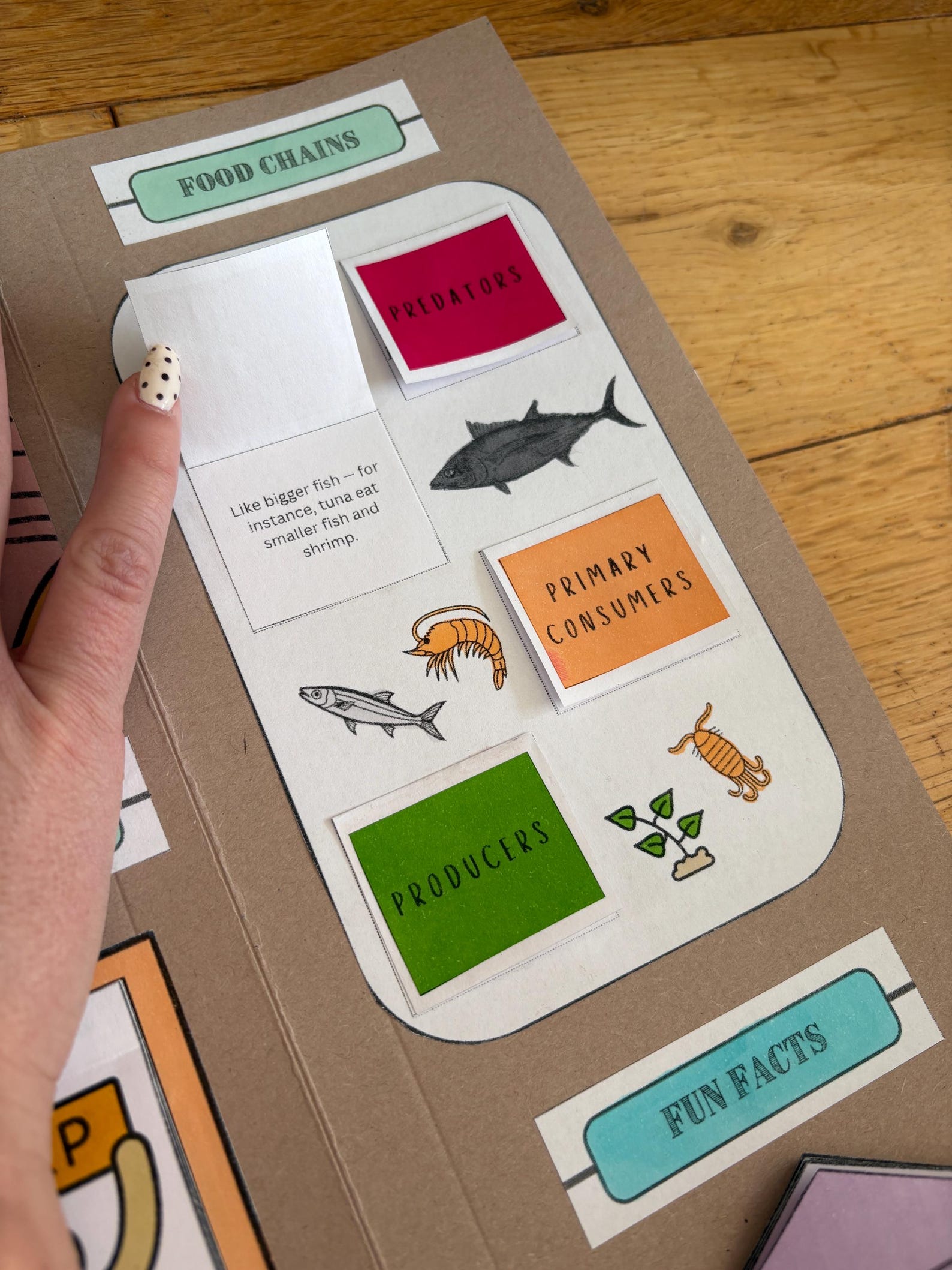 Ocean Creatures Study Lapbook Download | Printable | Creative Activity ...