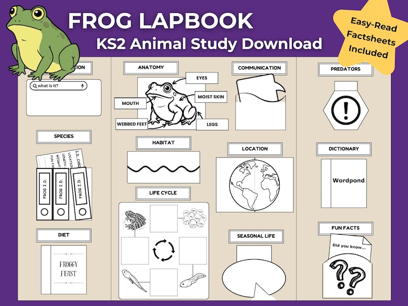 Frog KS2 Science Pack | Printable Unit Study Lapbook - Etsy