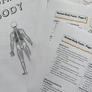 Human Body Study Lapbook Download | Printable | Science Activity ...