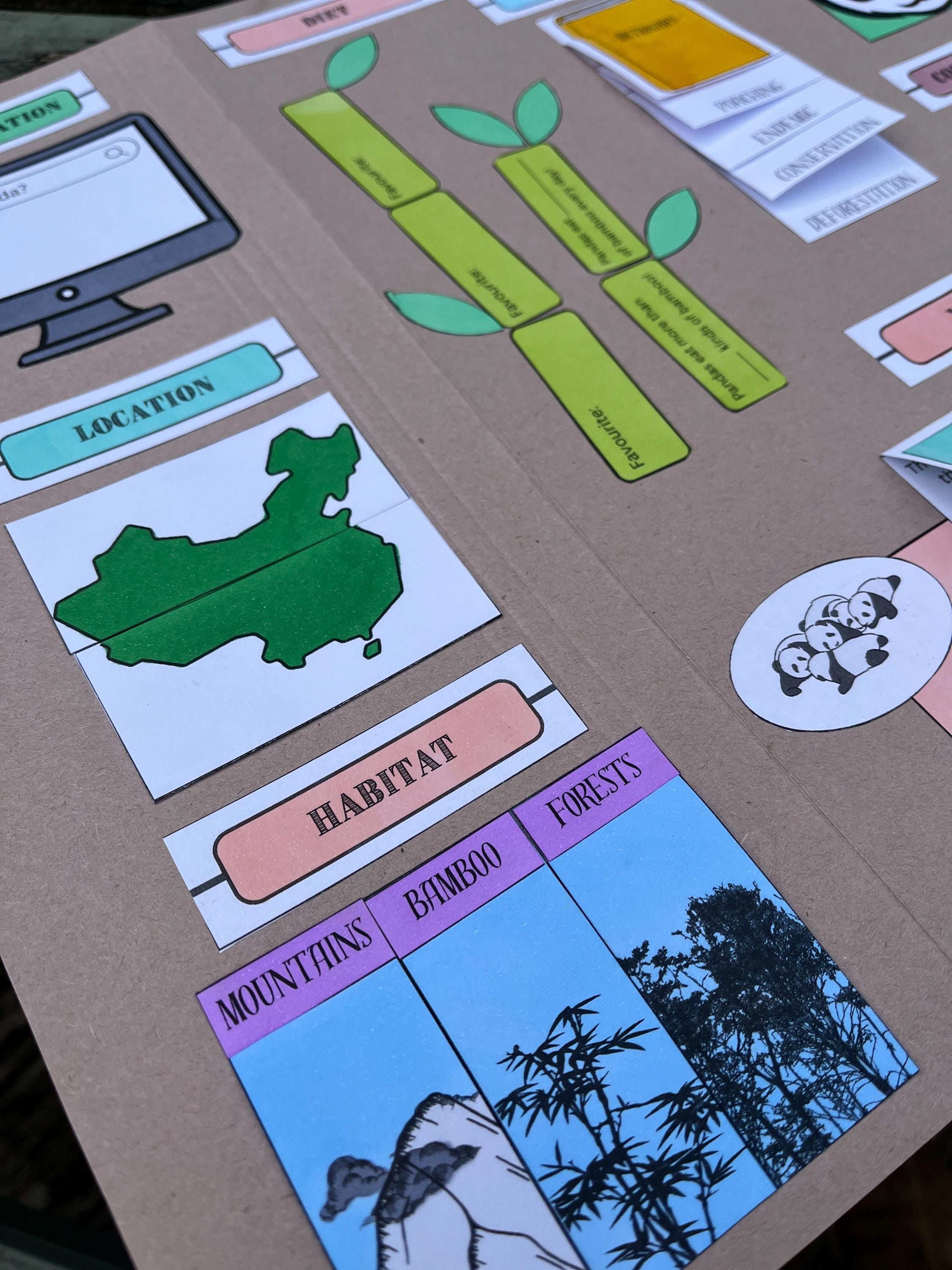 Panda Study Lapbook Download | Printable | Creative Activity ...