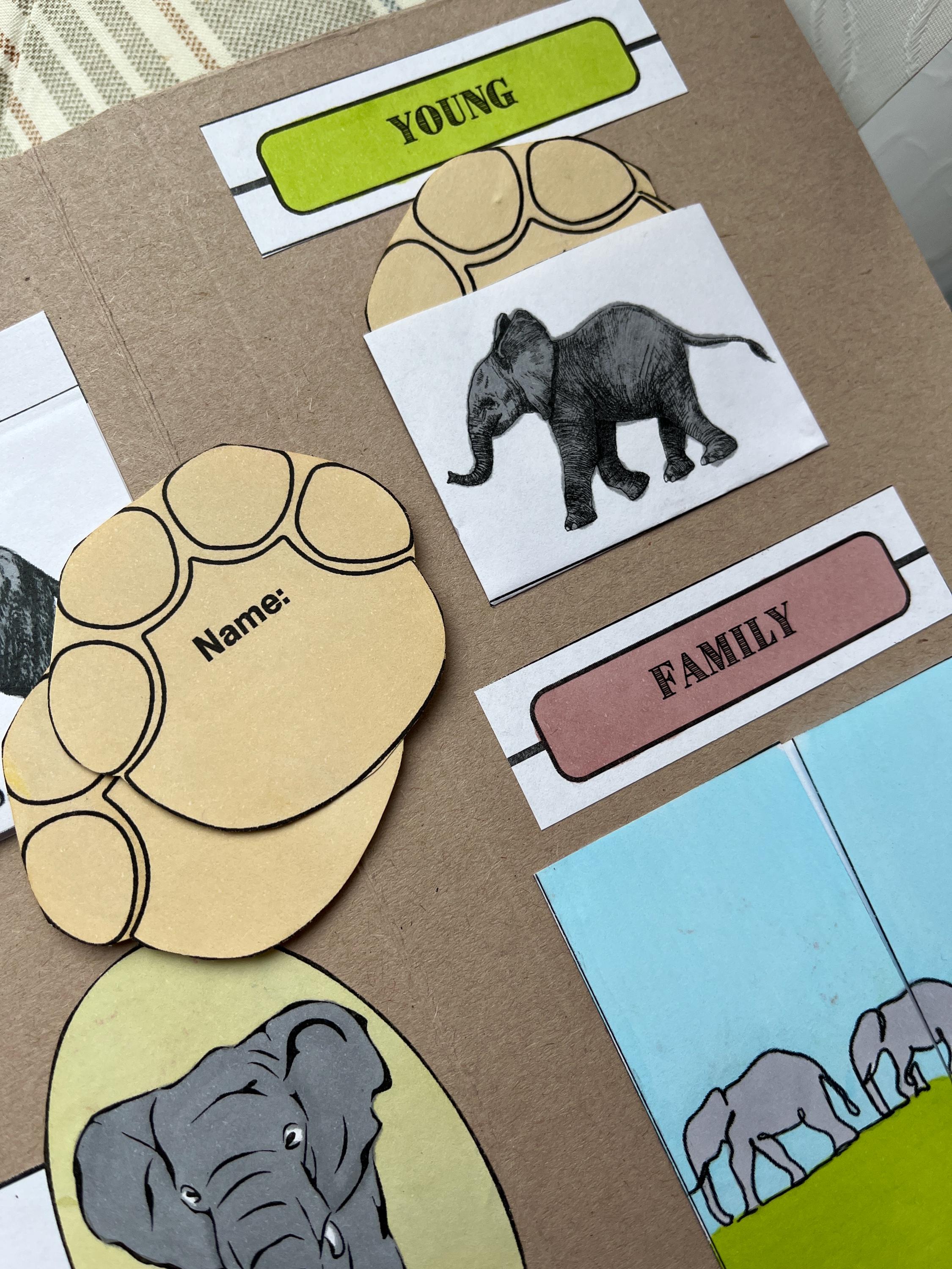 Elephant Study Lapbook Download | Printable | Creative Activity ...