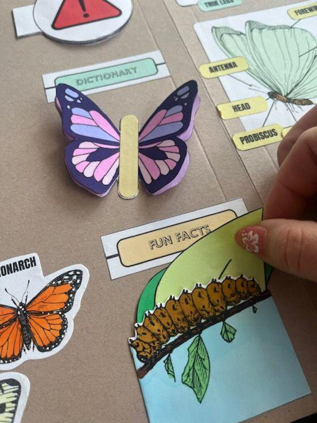 Butterfly Study Lapbook Download | Printable | Creative Activity ...
