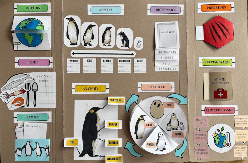 Penguin Study Lapbook Download | Printable | Creative Activity ...