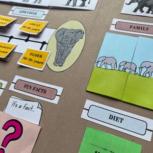 Elephant Study Lapbook Download | Printable | Creative Activity ...