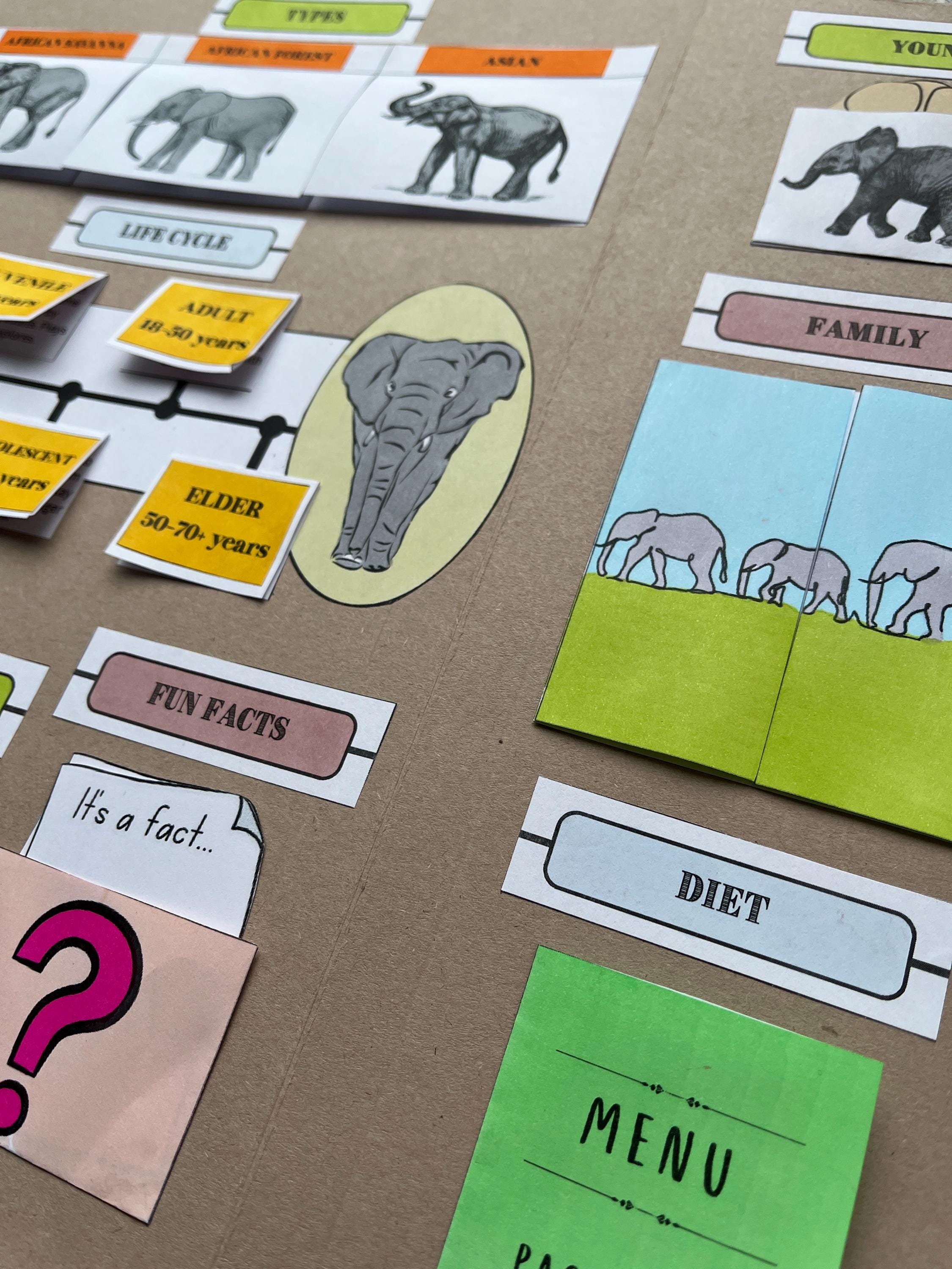 Elephant Study Lapbook Download | Printable | Creative Activity ...