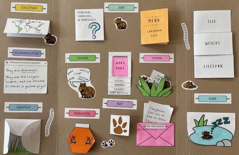 Capybara Study Lapbook Download | Printable | Creative Activity ...