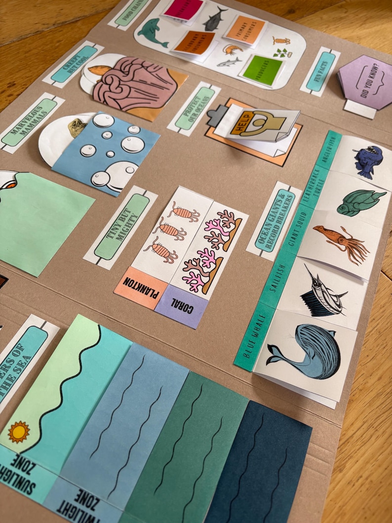Ocean Creatures Study Lapbook Download | Printable | Creative Activity ...