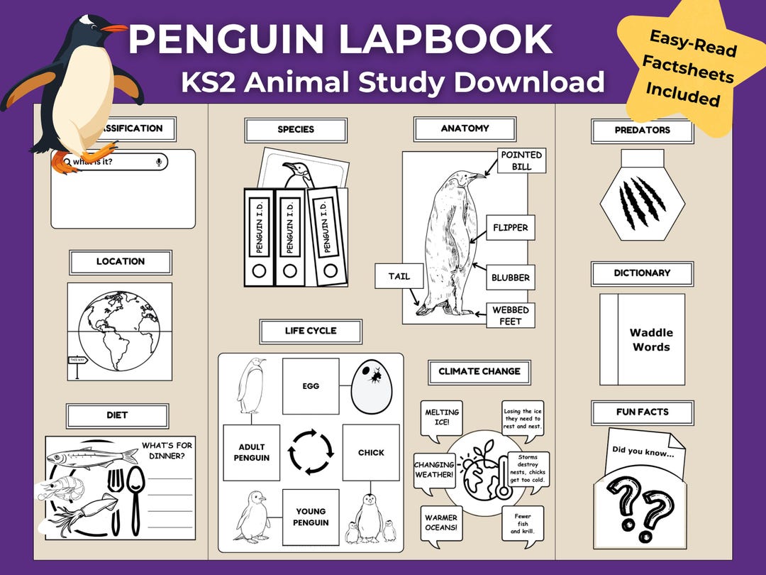 Penguin Lapbook KS2 | Animal Study | Printable Lapbook | Easy-read ...