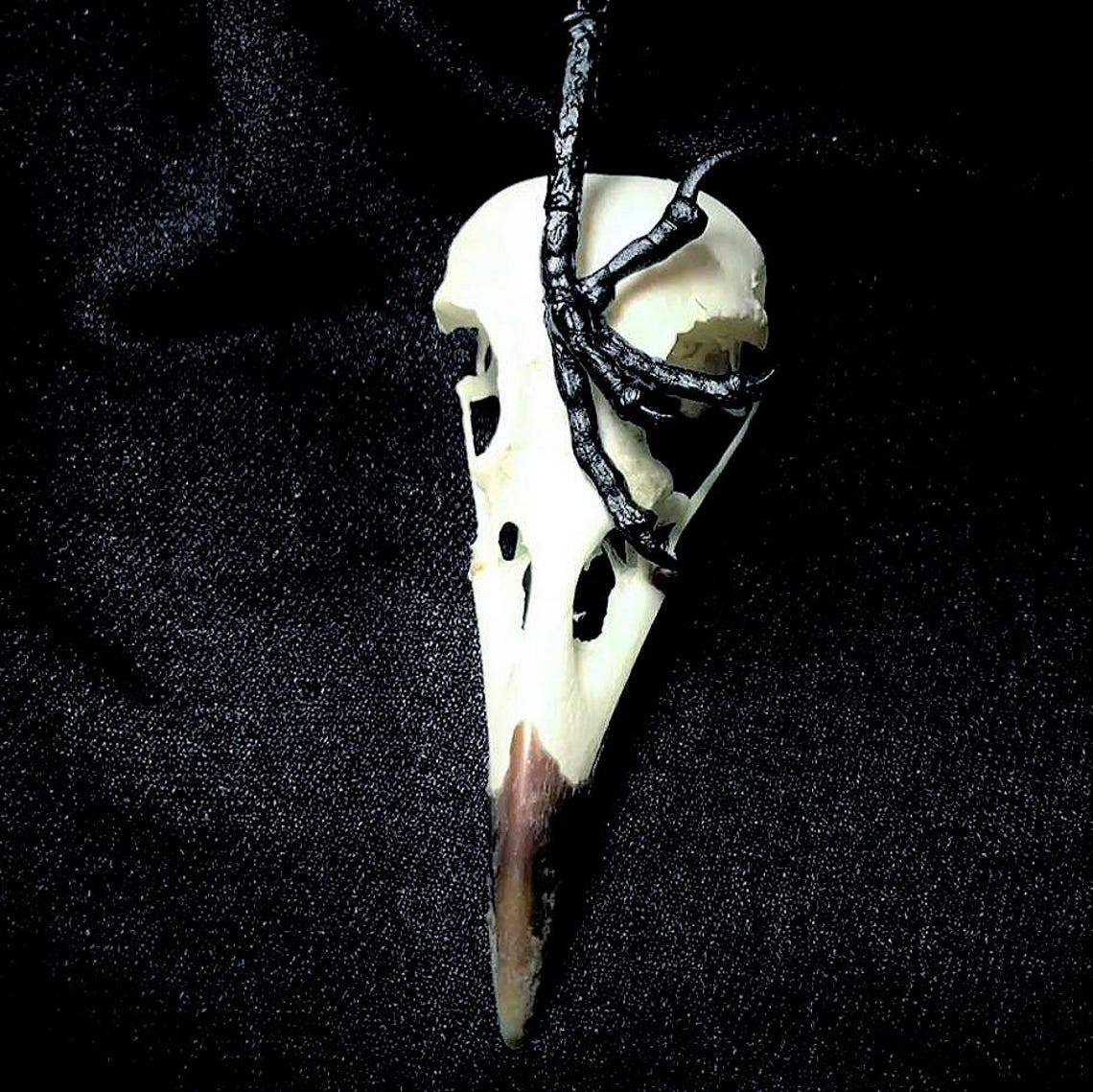 CLAW - Bird Talon Necklace - Raven Claw Pendant - Gothic Jewelry ...