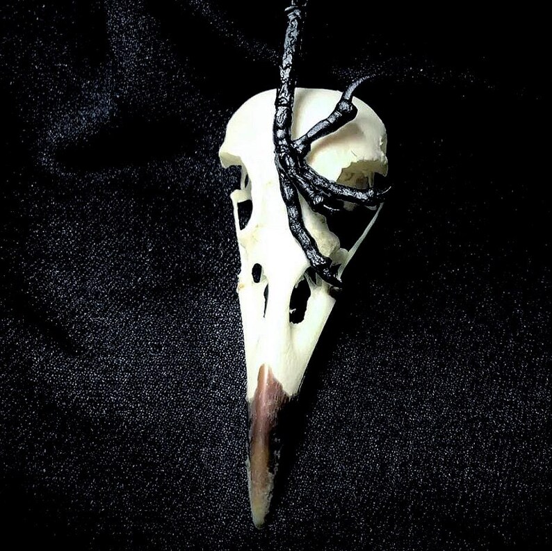 CLAW - Bird Talon Necklace - Raven Claw Pendant - Gothic Jewelry ...