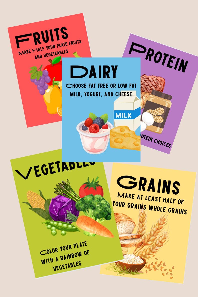 5 Food Group Posters - Etsy