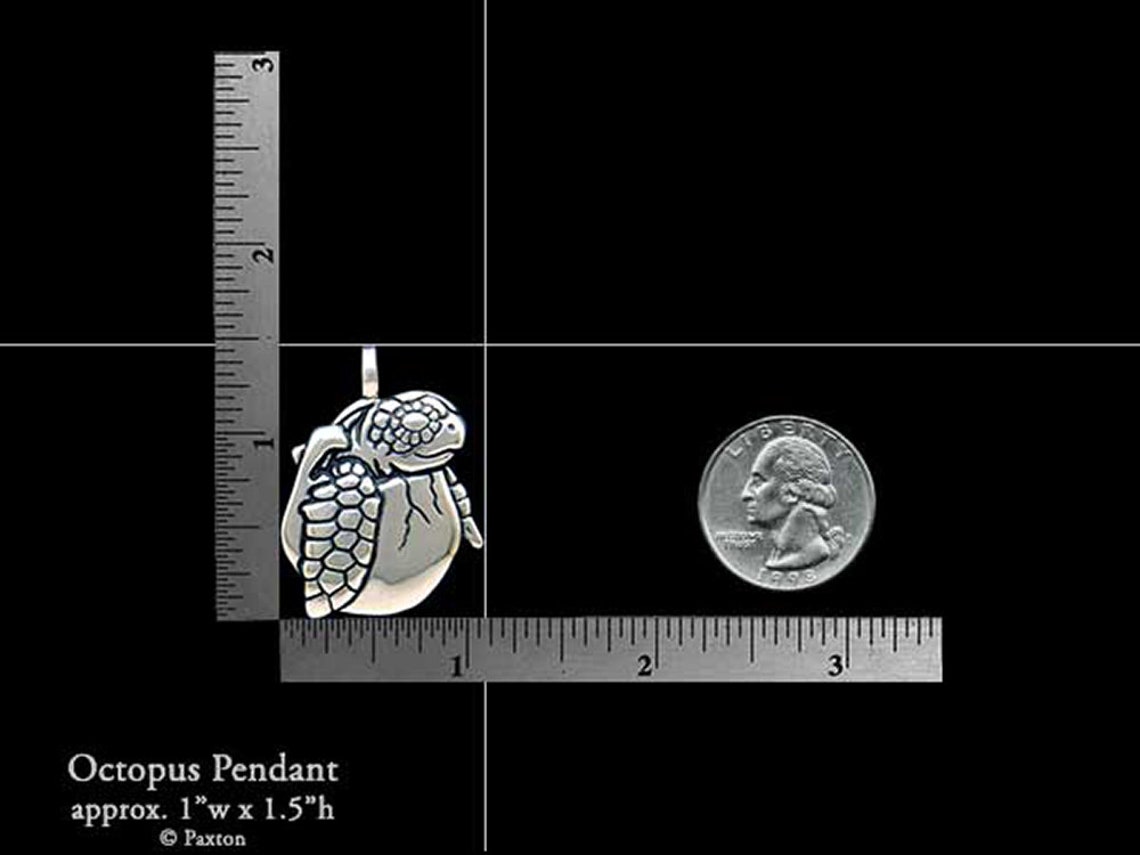 Baby Sea Turtle Hatchling Pendant Necklace Sterling Silver - Etsy