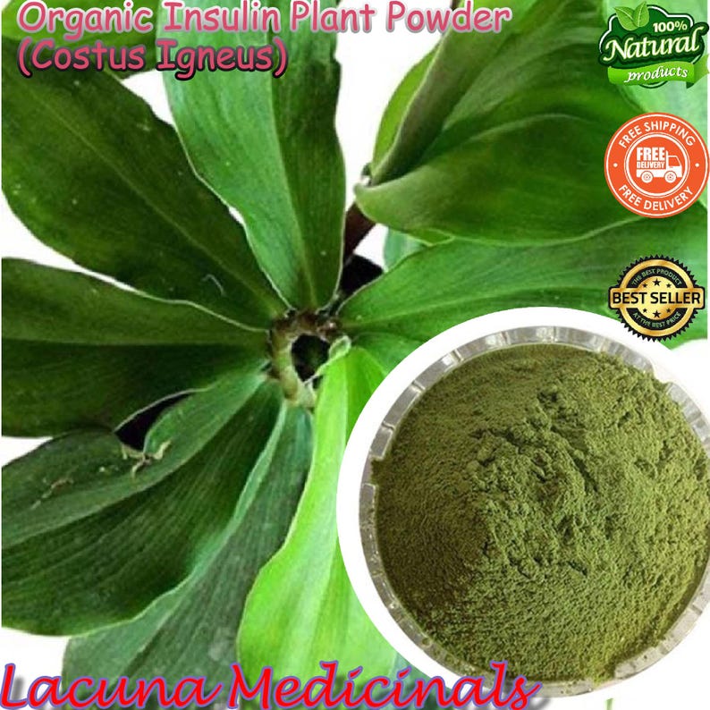 Insulin Plant Powder, Organic Insulin Plant Leaf, Canereed Igneus ...