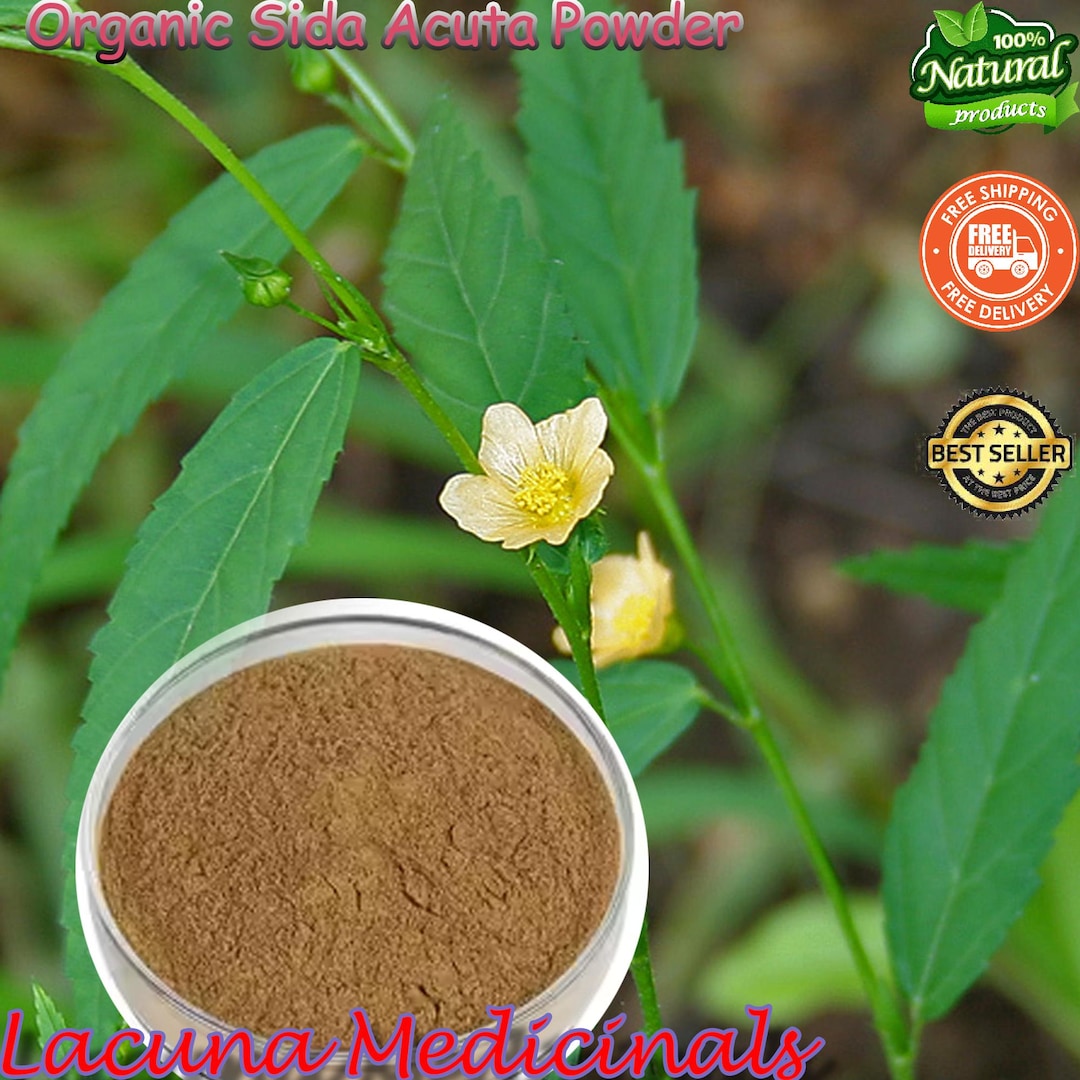 Sida Acuta Powder, RARE Sida Rhombifol, Freshly Air Dry to Order, 100% ...