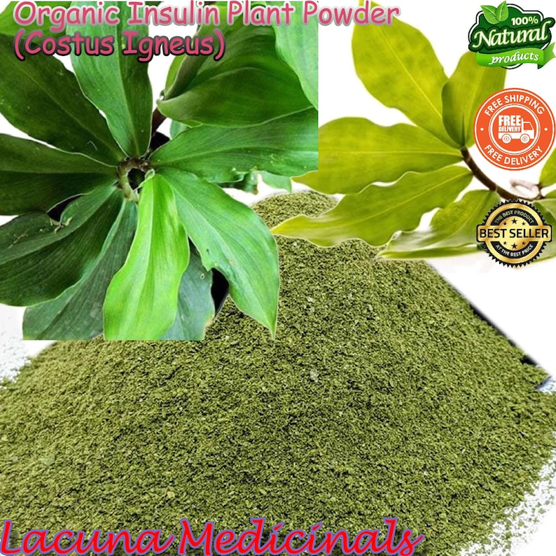 Insulin Plant Powder, Organic Insulin Plant Leaf, Canereed Igneus ...