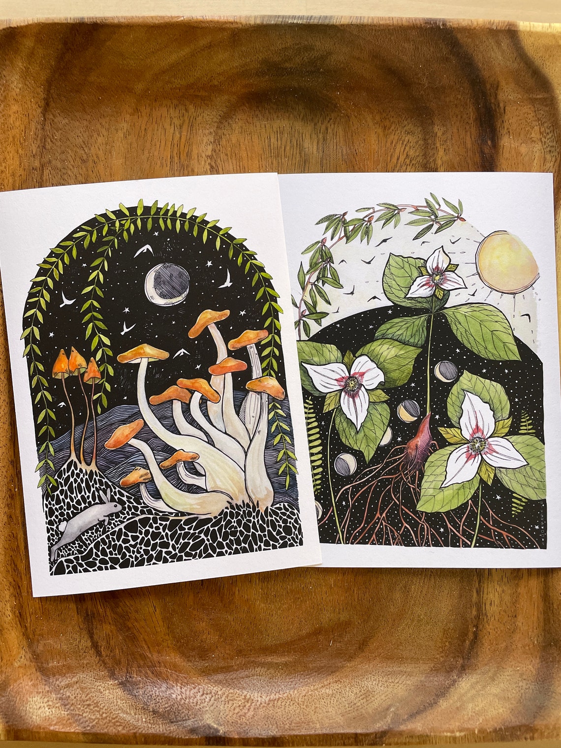 Midnight Mushroom, Illustration, Magick, Enchanted Forest. Fine Art ...