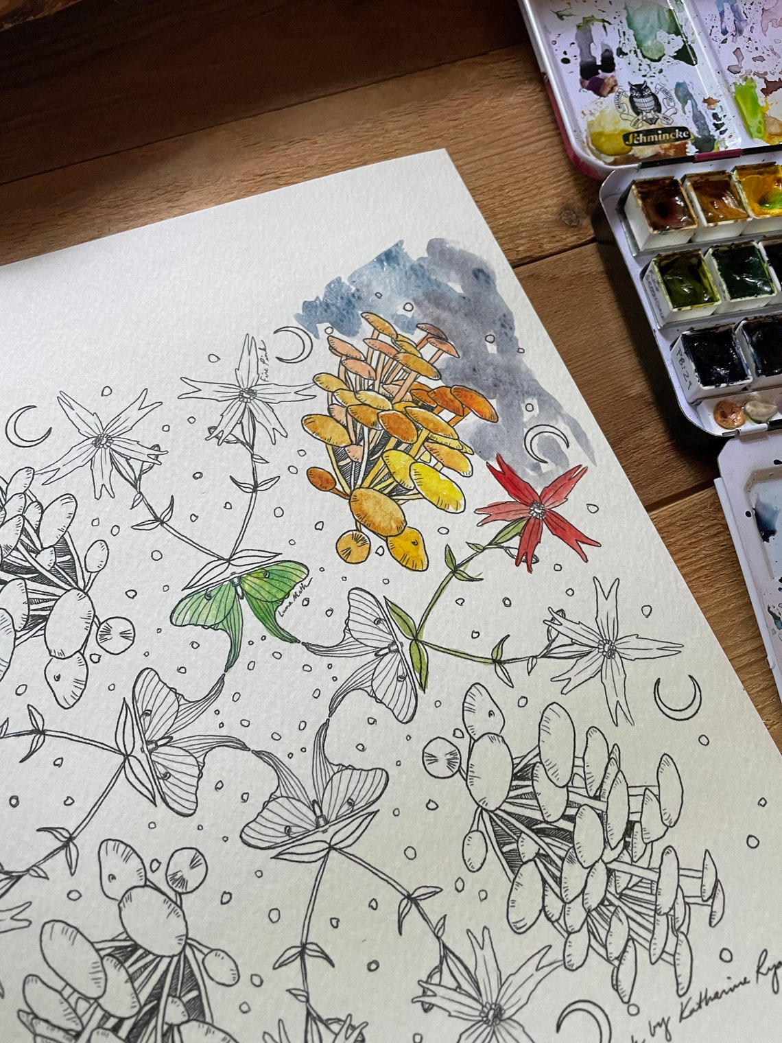 Luna Moth Coloring Page Digital Download Watercolor Coloring | Etsy Canada