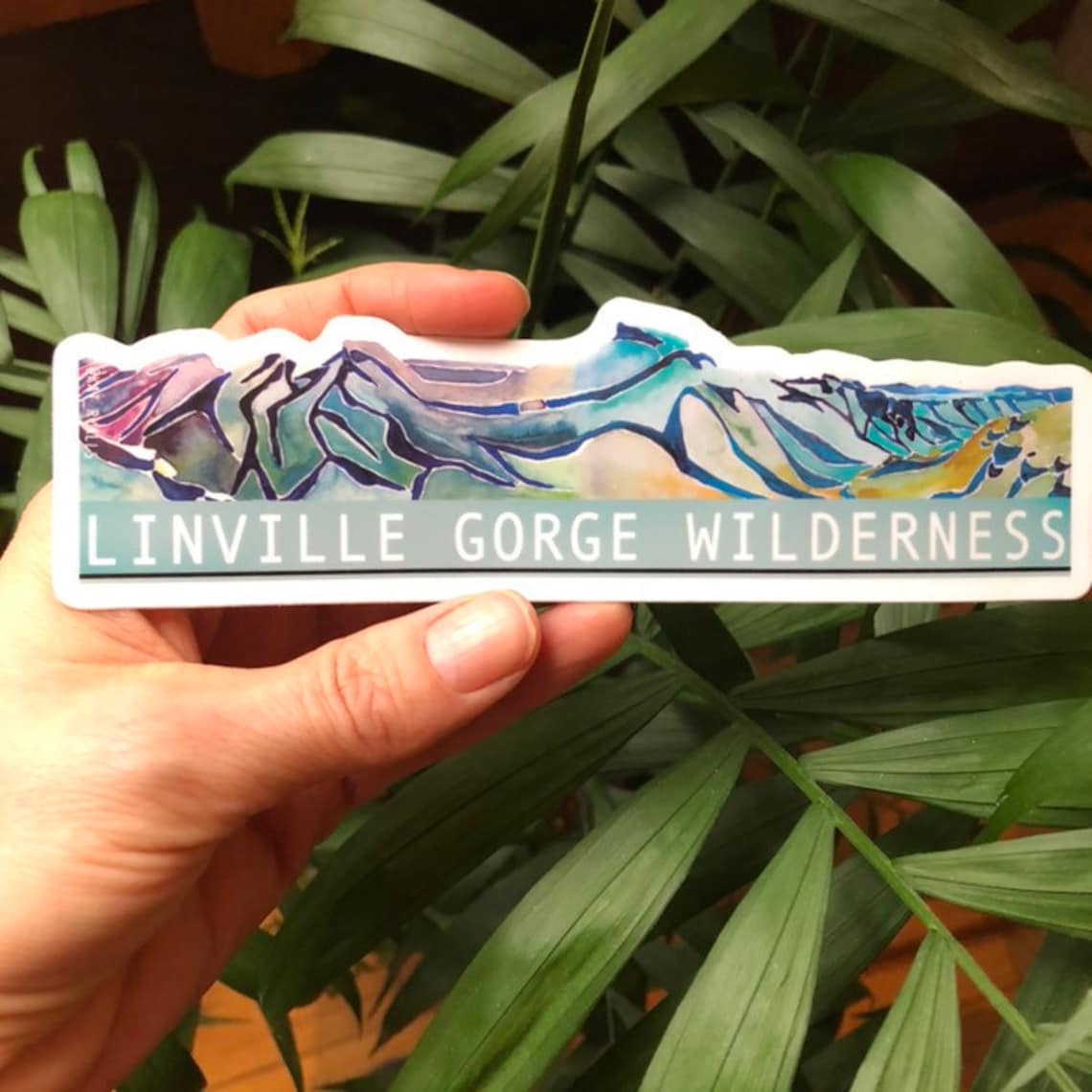 Linville Gorge Wilderness Blueridge Mountain Vinyl Sticker | Etsy