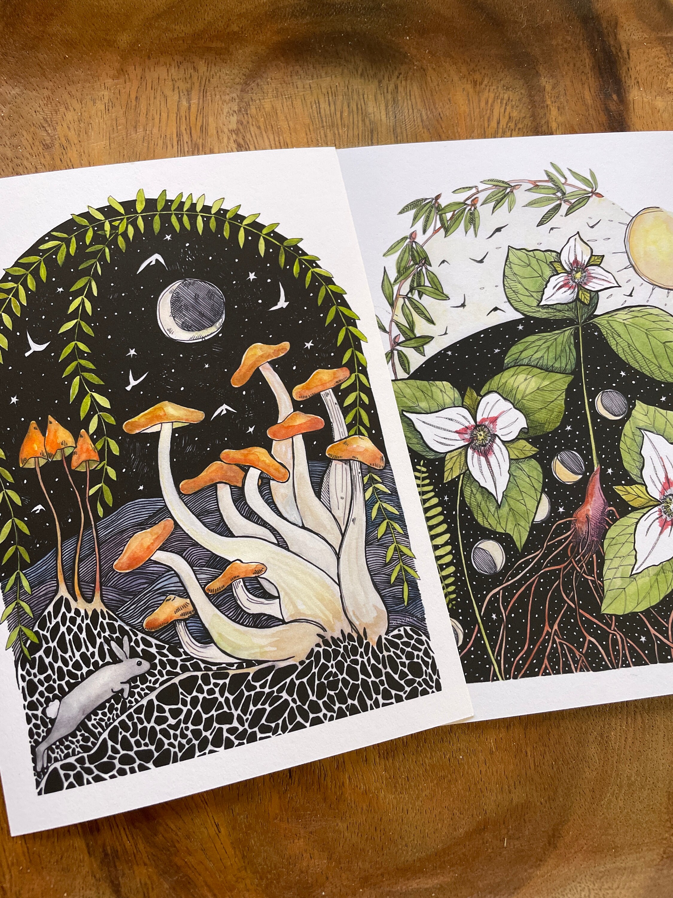 Midnight Mushroom, Illustration, Magick, Enchanted Forest. Fine Art ...