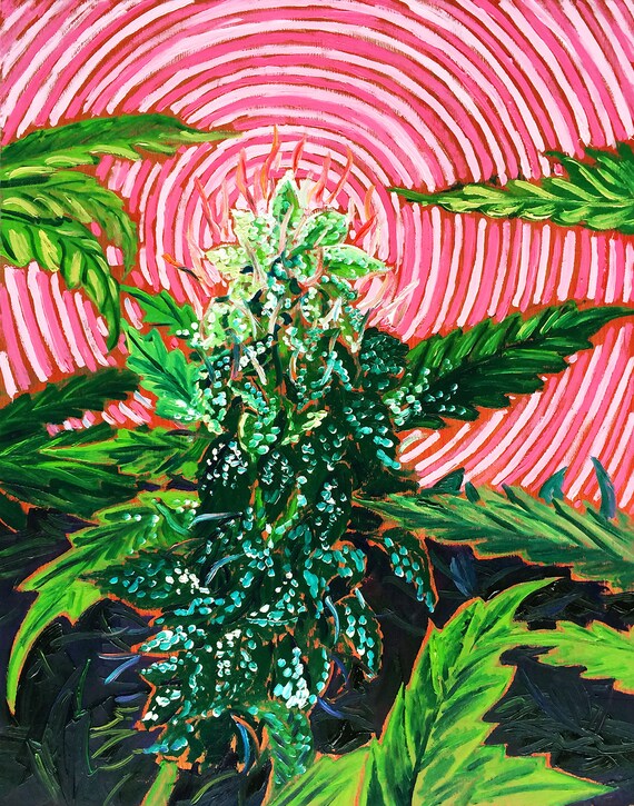 Trippy Weed Kunsttegninger Psychedelic Weed Leaf Photos, Images