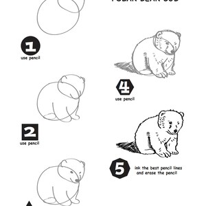 How to Draw Alaskan Baby Animals: 49 Drawing Lessons From the 49th ...