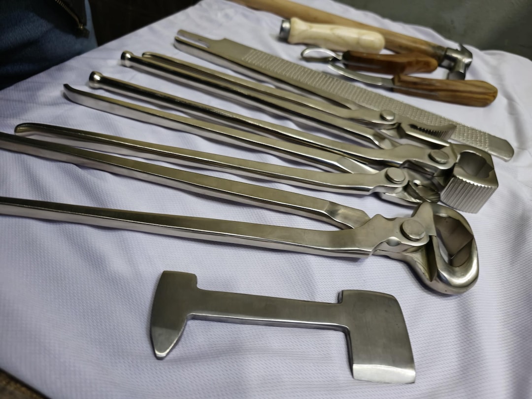 Farrier Tool Kit, Essential Handmade Farrier Tools, Professional Hoof ...