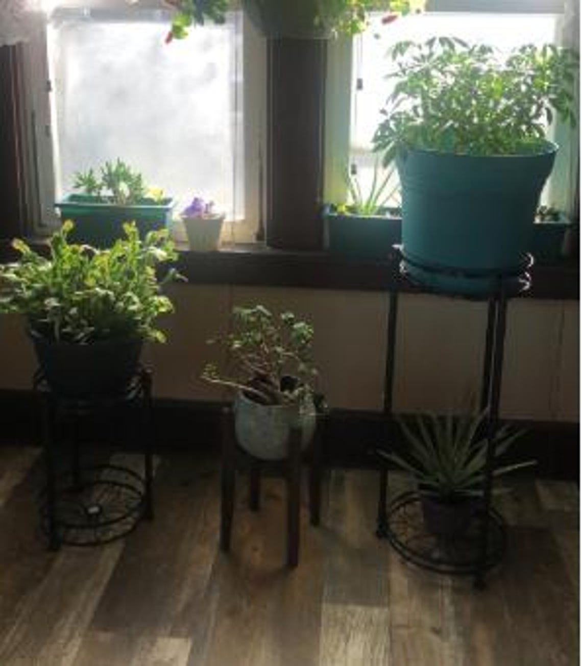 Modern Metal Plant Stand Set: Indoor Outdoor Tiered Display - Etsy