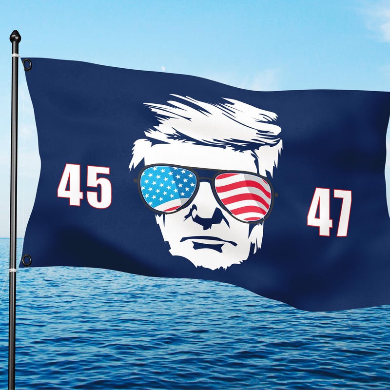 Anti Trump Signs and Flags - Etsy