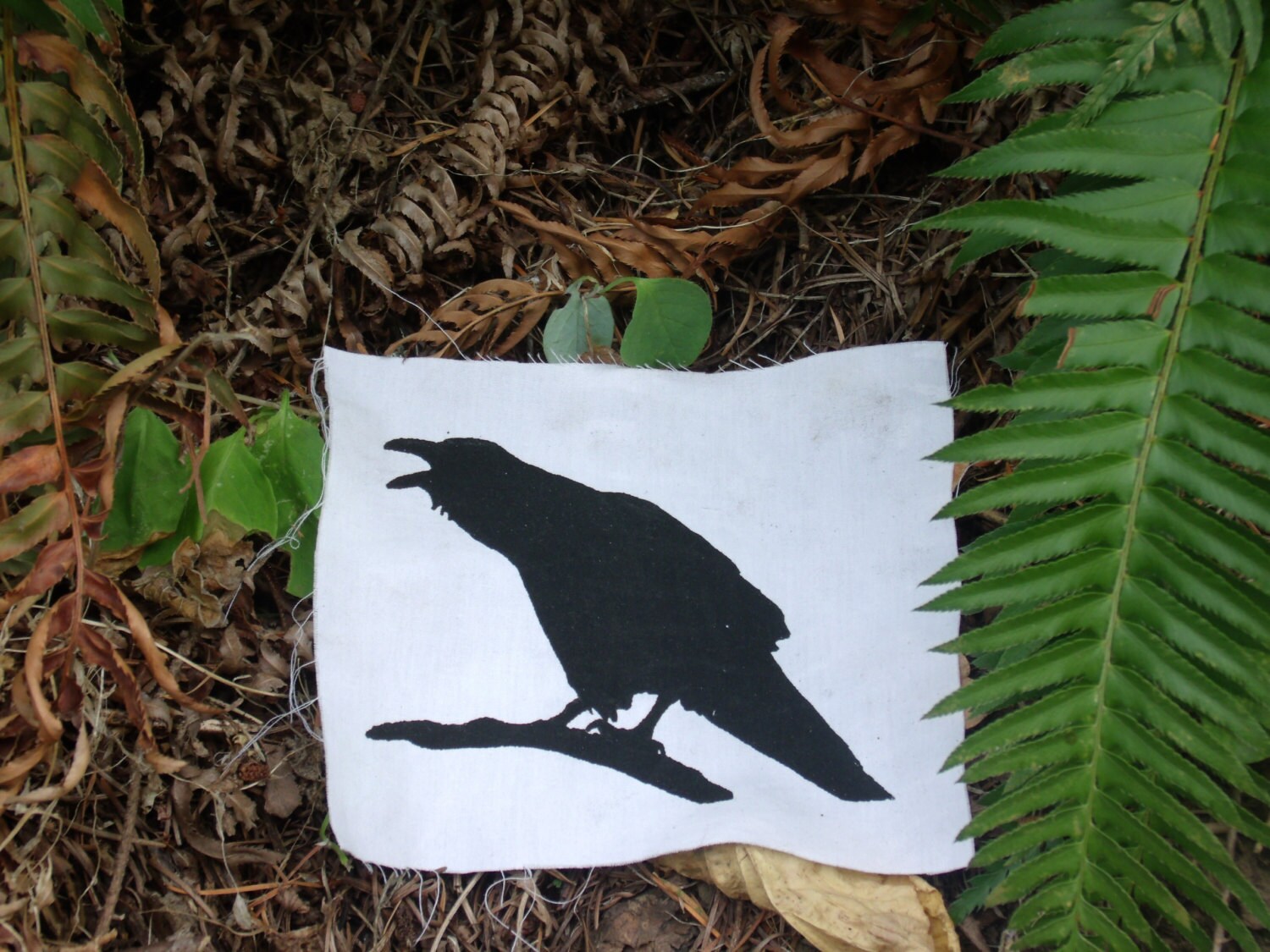 Raven Patch Crow Patch punk patches birds science | Etsy
