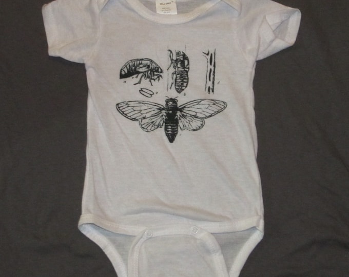 Insect Onesie - Baby Cicada Life Cycle Onesie - 9 to 12 Months - White ...