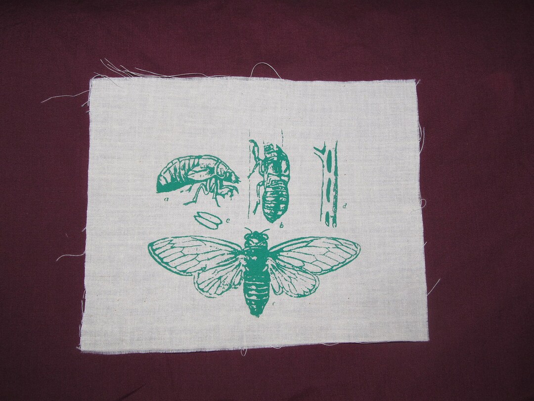 Science Patch, Cicada Life Cycle Patch - Green on Natural Beige White ...