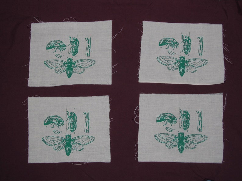 Science patch Cicada Life Cycle Patch Green on Natural | Etsy