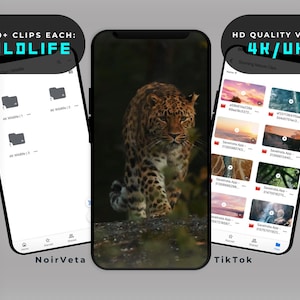 20,000+ 4K Video Clips | Luxury B-roll Bundle | PLR / Resell Rights - Etsy