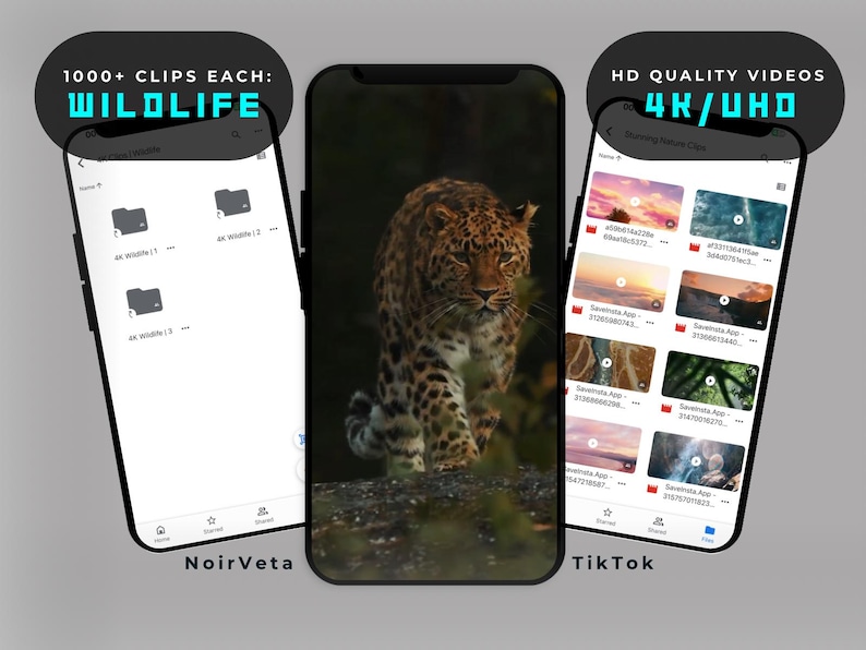 20,000+ 4K Video Clips | Luxury B-roll Bundle | PLR / Resell Rights - Etsy