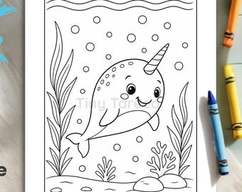 narwhal coloring page free printable