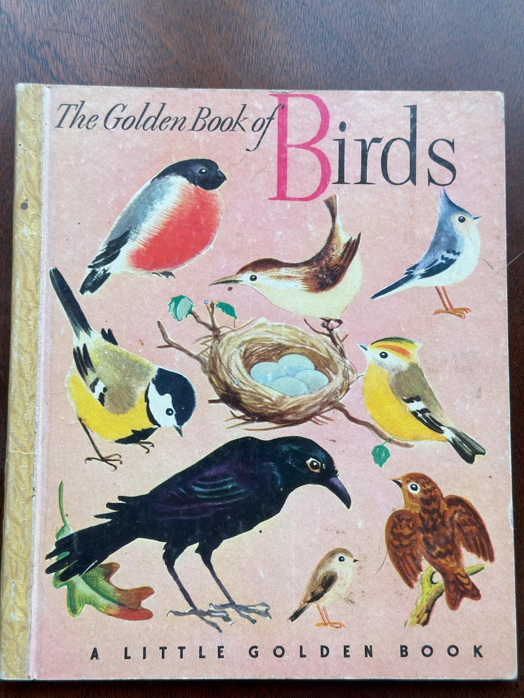 Vintage 1943little Golden Book of Birds - Etsy