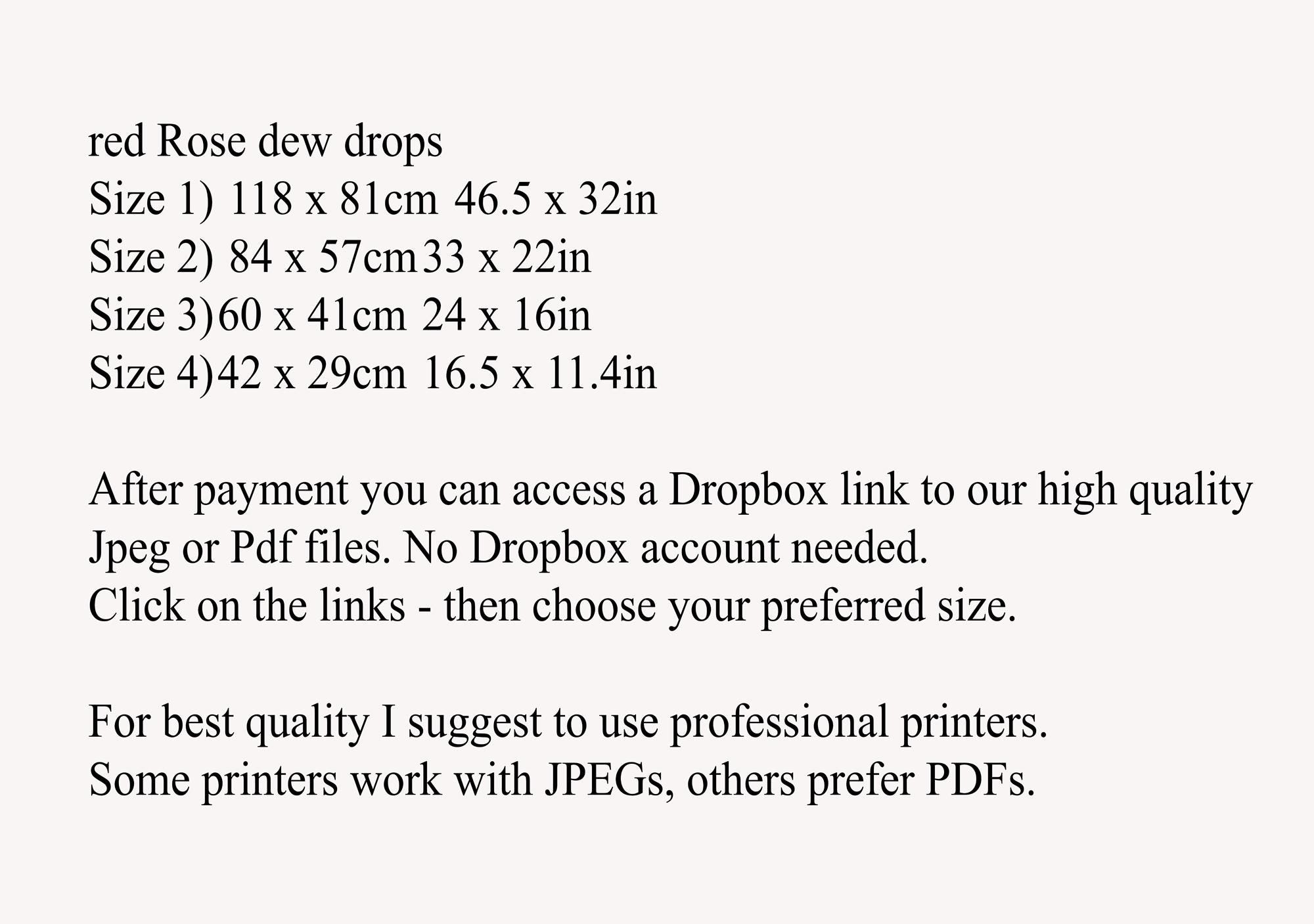 Red Rose Dew Drops - Etsy