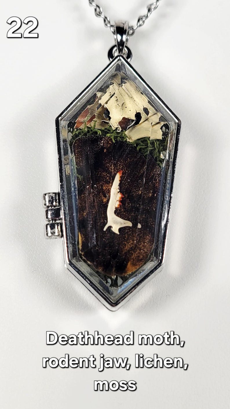 Bone & Botanical Shadowbox Coffin Locket Necklace, Stainless Steel ...